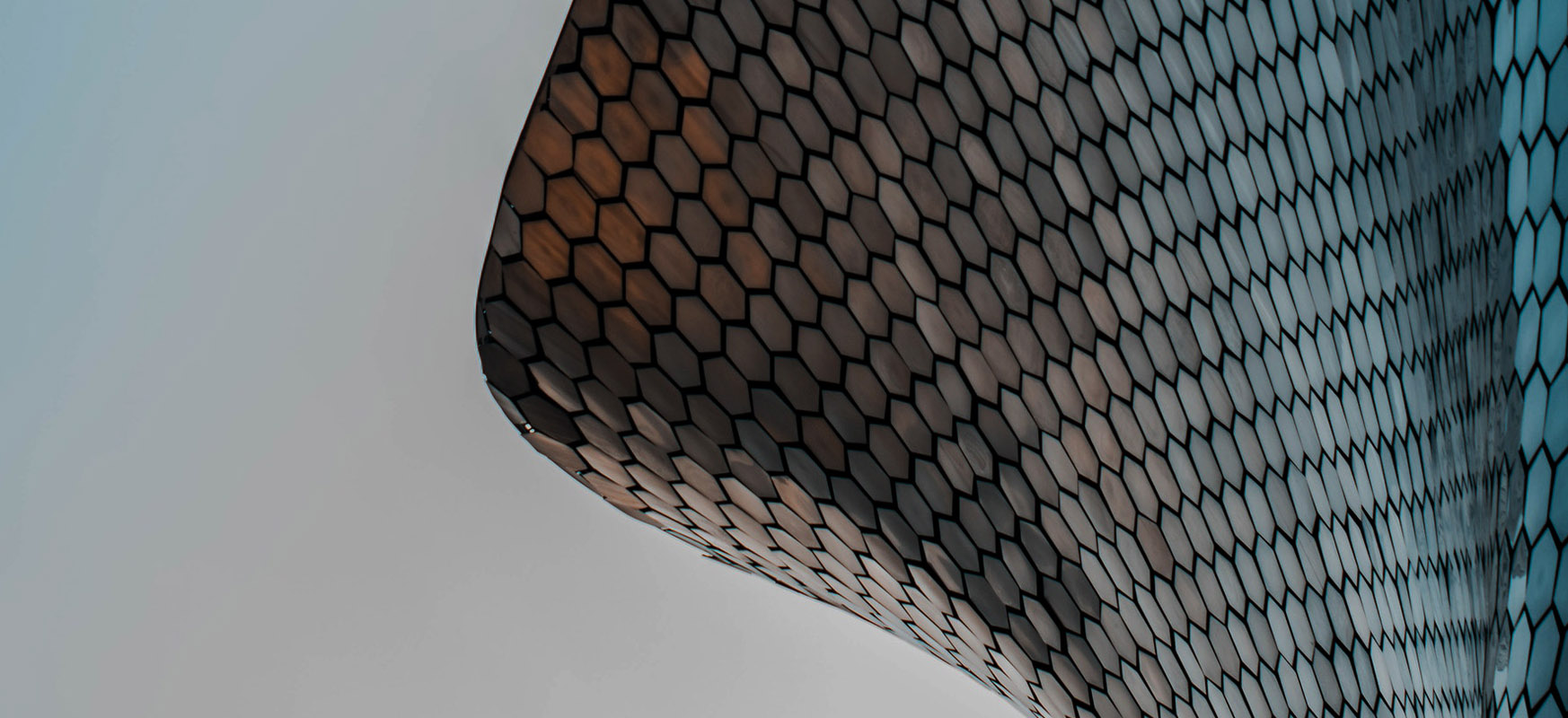 Big Fish Building Consultancy